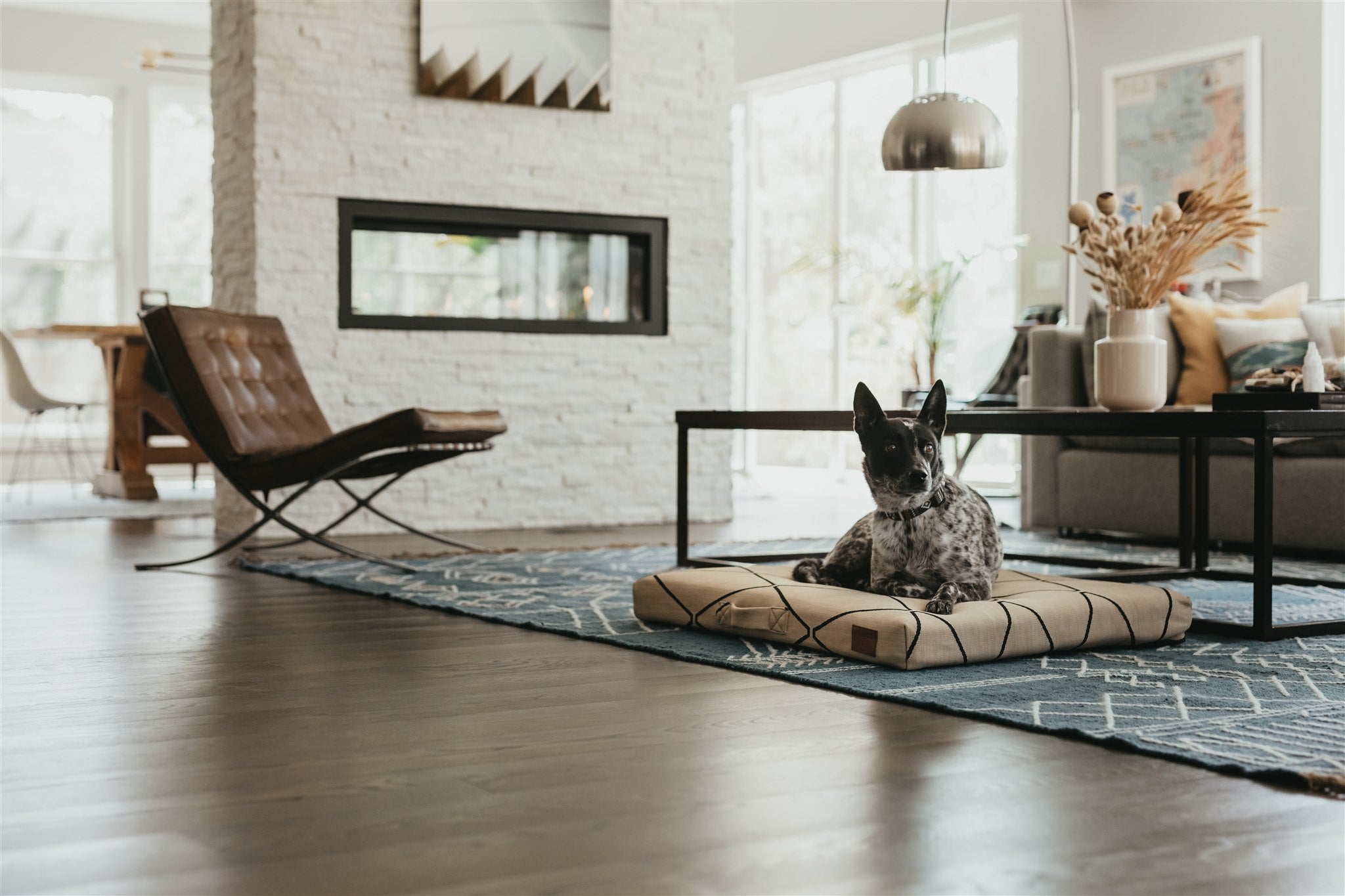 Home Tour: Marissa Roseillier's SoCal Style – LAY LO Pets