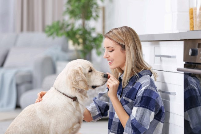 Touch Cue Dog Training: Targeting Techniques for Dogs – LAY LO Pets