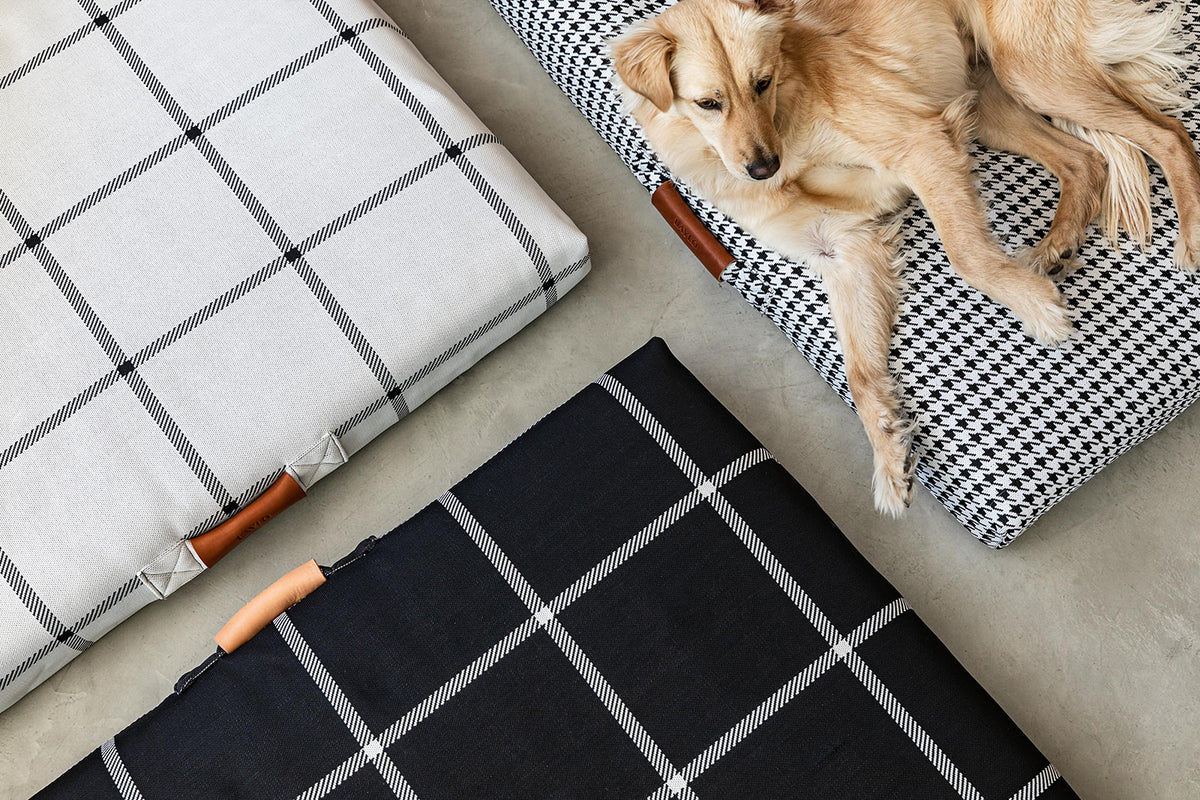 Shop for Best Pet Products and Supplies Online – LAY LO Pets