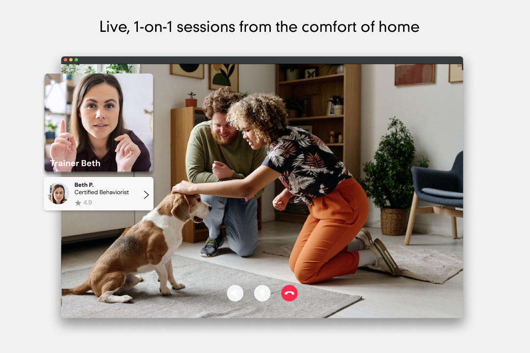 Homeschool by LAY LO®: Premium Virtual Dog Training Program (Extended ...