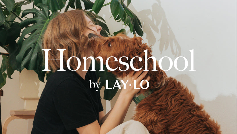 About Laylo – LAY LO Pets