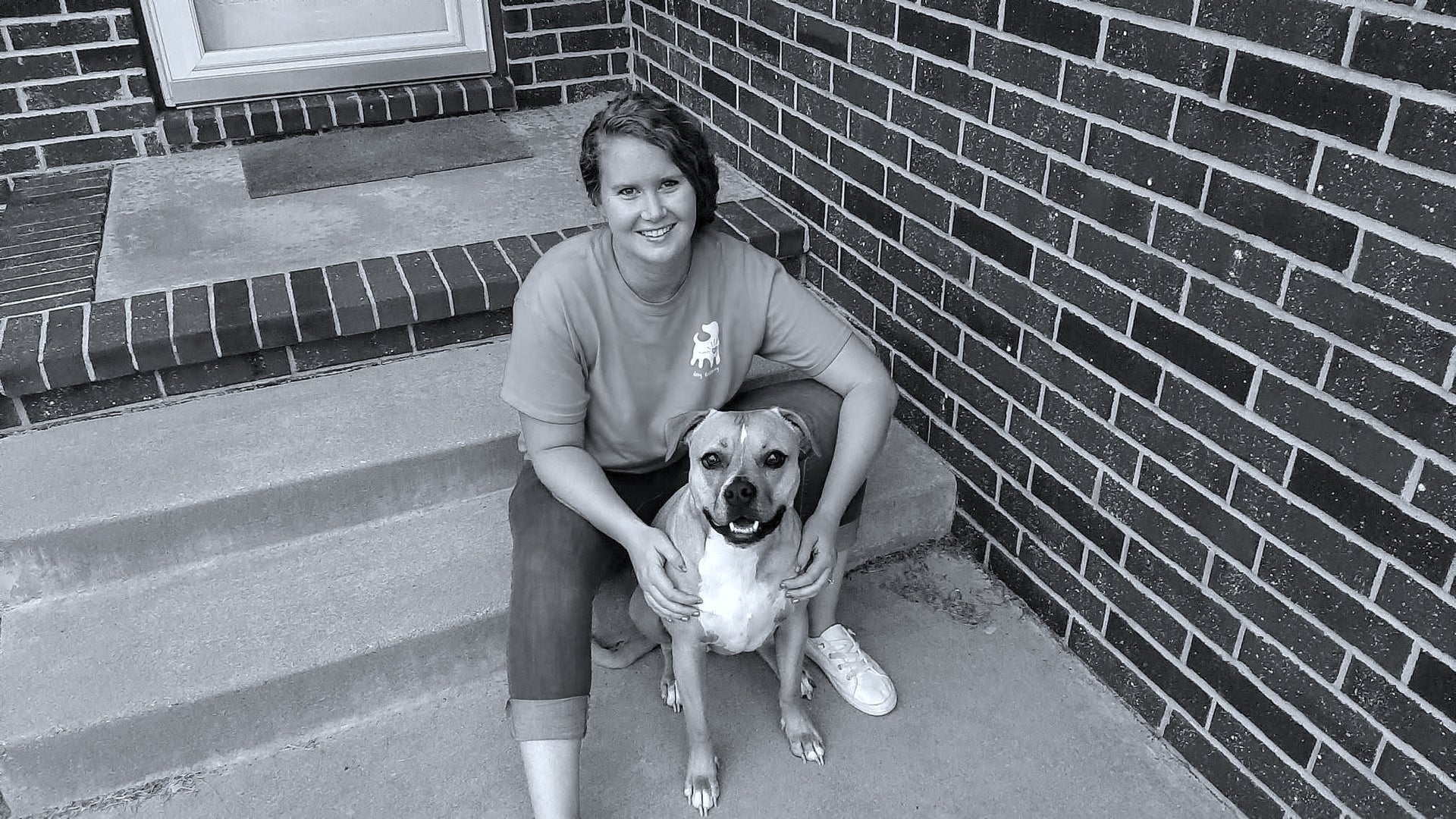 Online Dog Training from Home: 1-1 Virtual Dog Training – LAY LO Pets