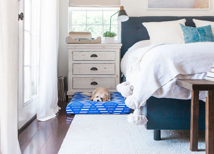 LAY LO Dog Bed Swappable Cover System – LAY LO Pets