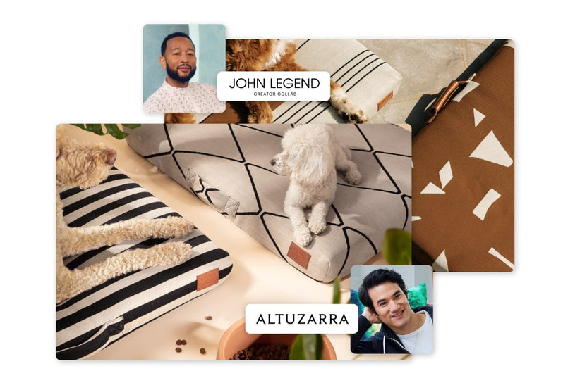 Shop for the Best Pet Products and Supplies – LAY LO Pets