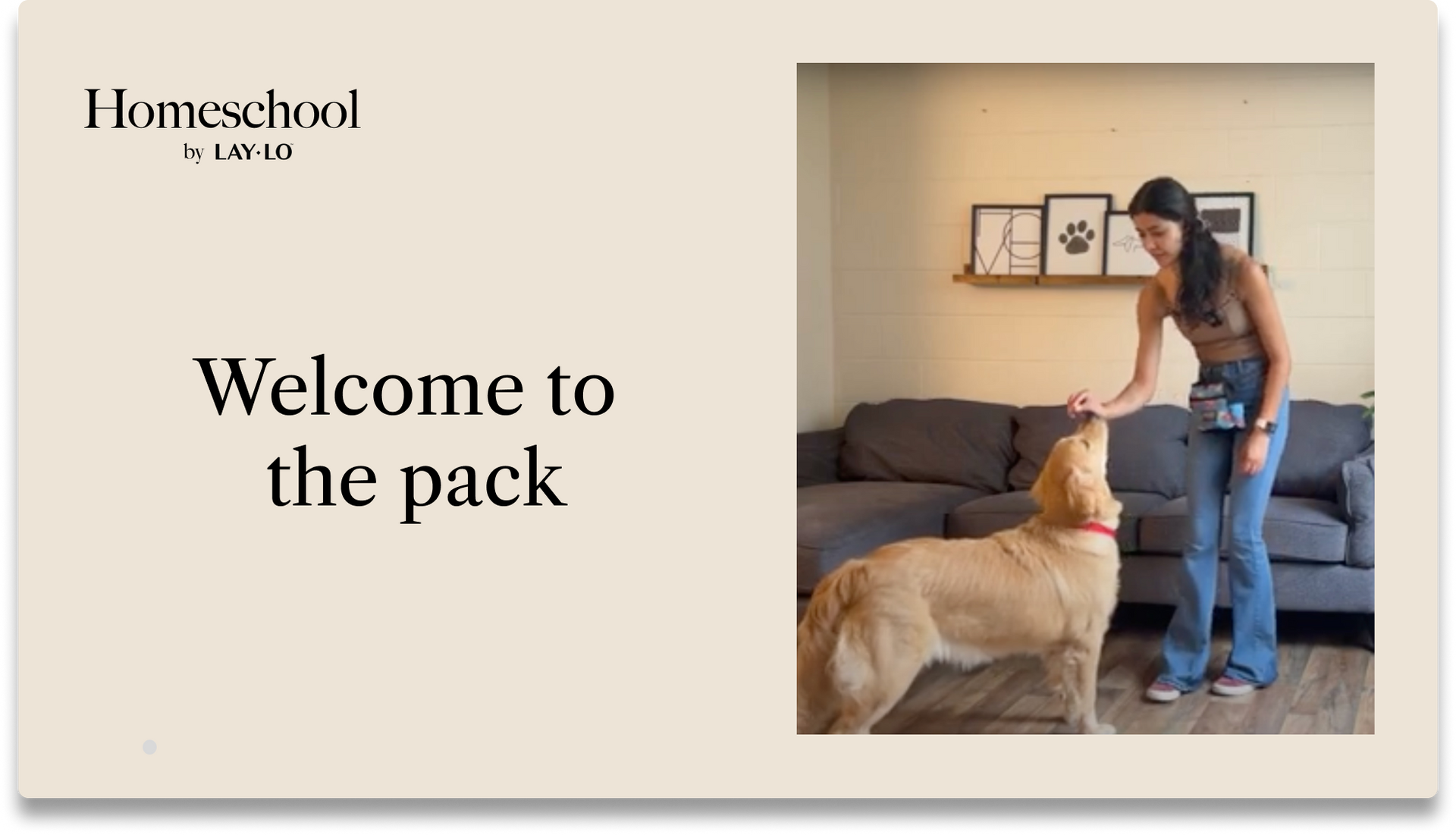 Homeschool Enrollment – LAY LO Pets