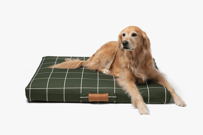 Cute Beds for Puppies - Stylish Dog Bed Covers | LAY LO Pets