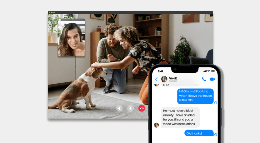 About Laylo – LAY LO Pets