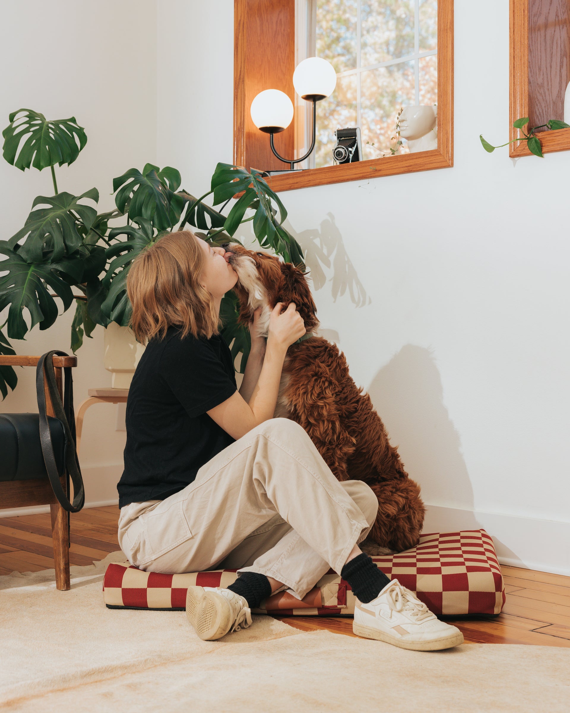 LAY LO Dog Bed Swappable Cover System – LAY LO Pets