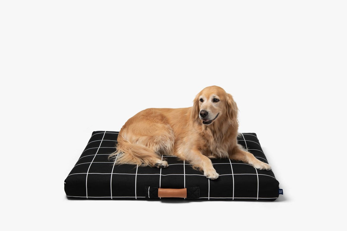 Cute Beds for Puppies - Stylish Dog Bed Covers | LAY LO Pets